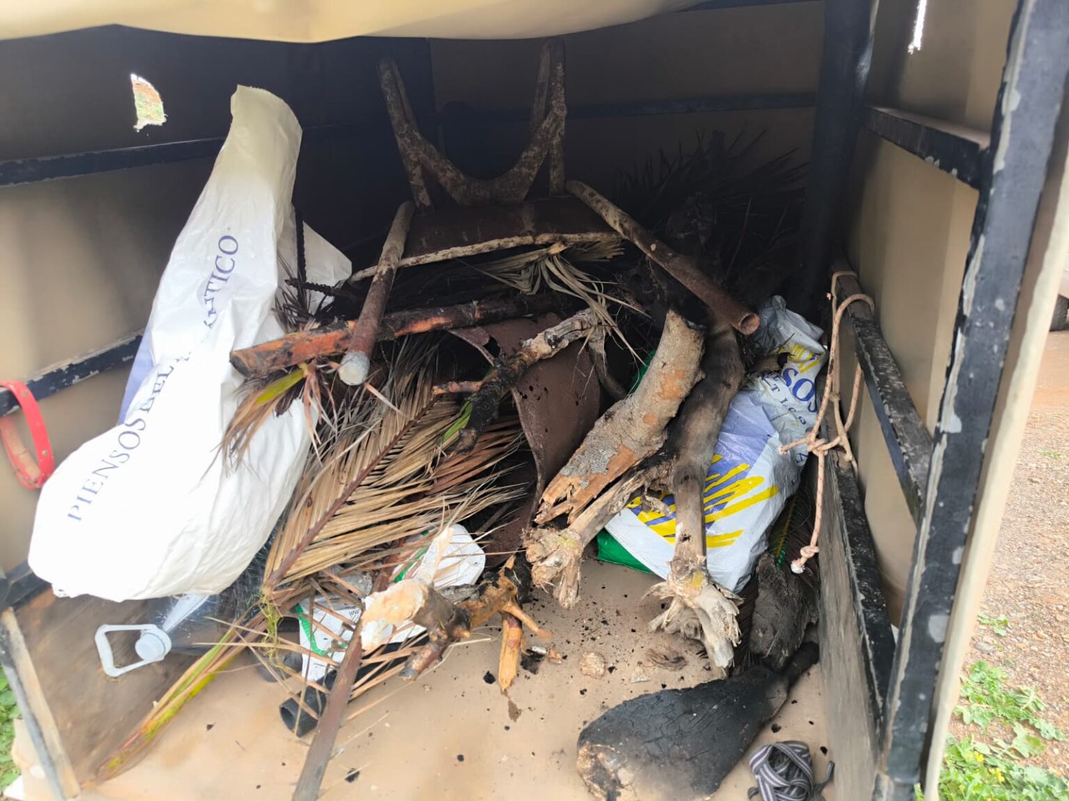 Jäger aus Antigua reinigen Tacha Blanca